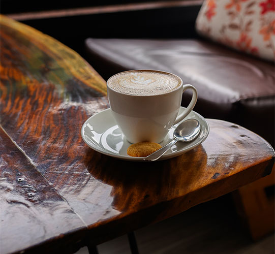 Botanical Cafe | Gallery