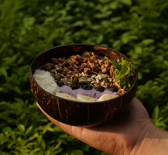 Botanical Cafe | Gallery